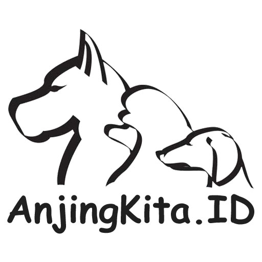 Spesifikasi Anjing Populer Di Indonesia - Anjing (Artikel Umum ...